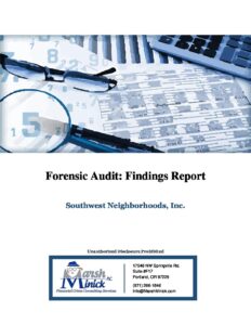 Audit-Forensic-Report-Example → Free Report Examples