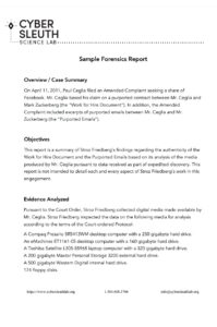 Forensic Report Example → Free Report Examples