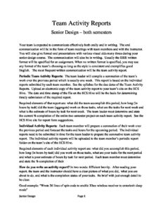 Team-Activity-Report-Example → Free Report Examples