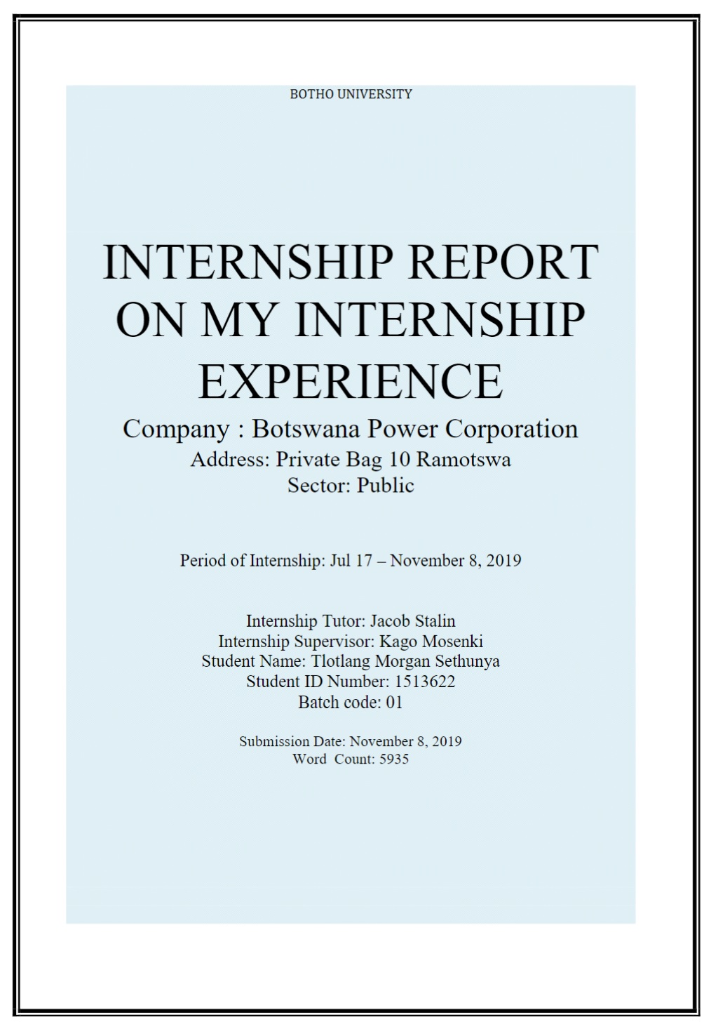 Internship Report Example → Free Report Examples