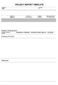 Project Report Format | Free Report Examples