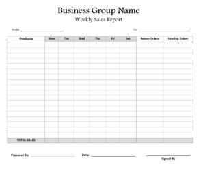 Weekly-Sales-Report-Example → Free Report Examples
