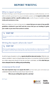Academic Report Example | Free Report Examples