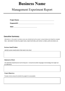 Experiment Report Example | Free Report Examples