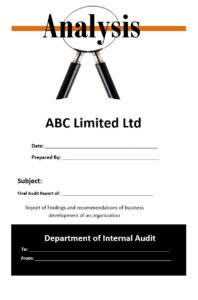 Analysis Report Example → Free Report Examples