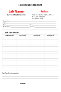 Test Result Report Example → Free Report Examples